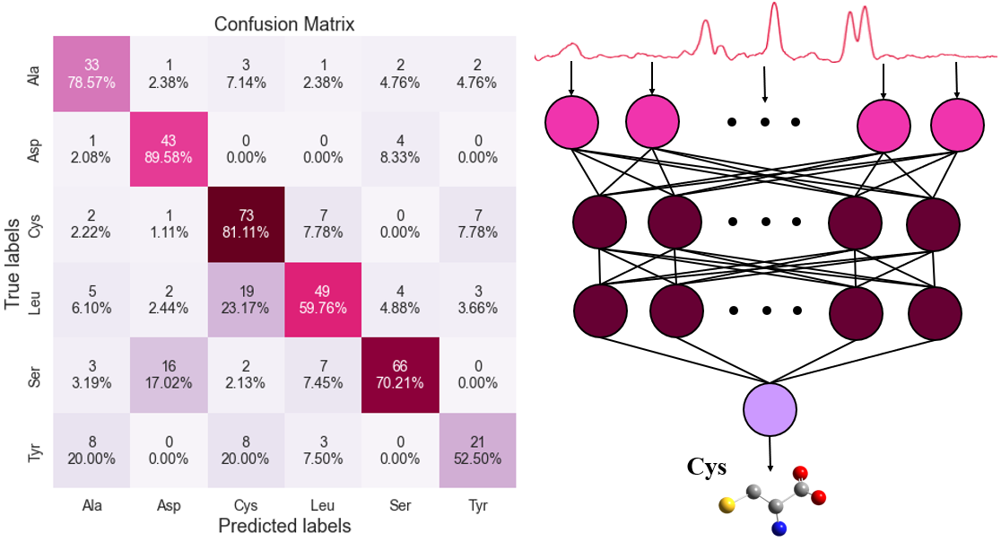 Lucas Domulevicz, Ph.D. Project Portfolio | Lucas_Domulevicz_Portfolio